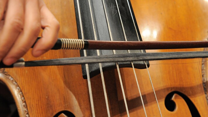 Contrabbassi - Rai Cultura