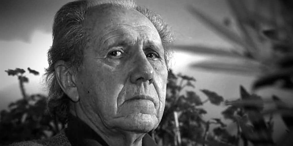 Nelo Risi, poeta e regista | Letteratura | Rai Cultura