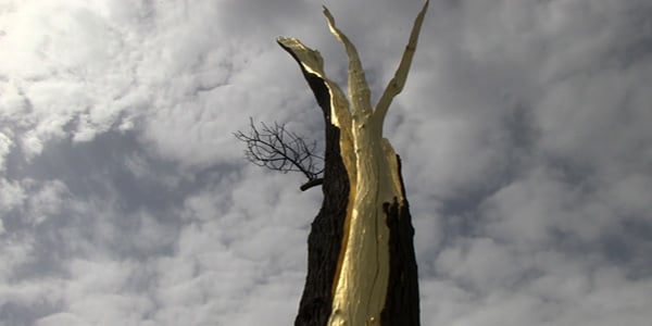 Giuseppe Penone | Arte | Rai Cultura