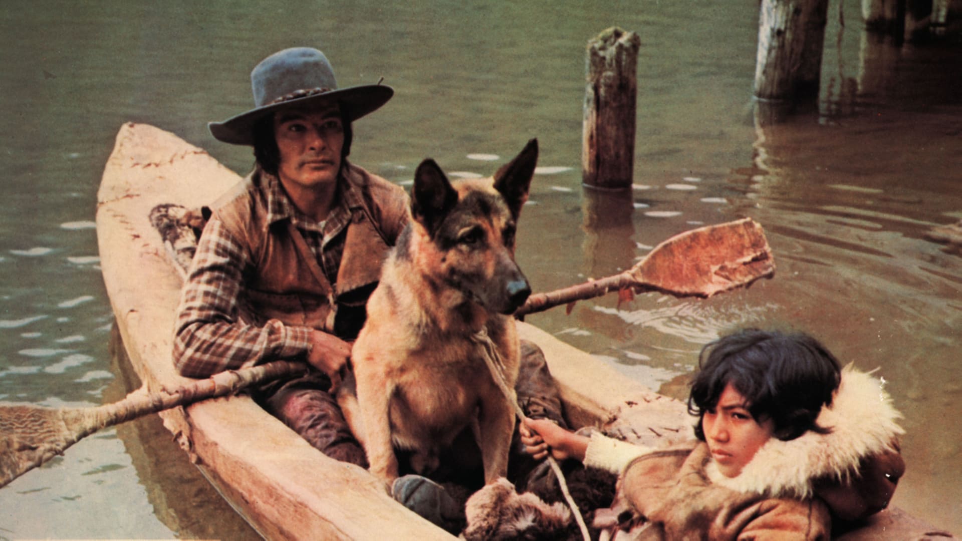 "Zanna bianca" (1973) | Cinema | Rai Cultura