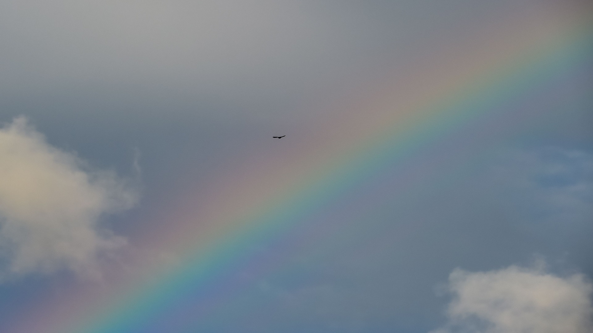 Raggi ultravioletti e creme solari | Scienza | Rai Cultura