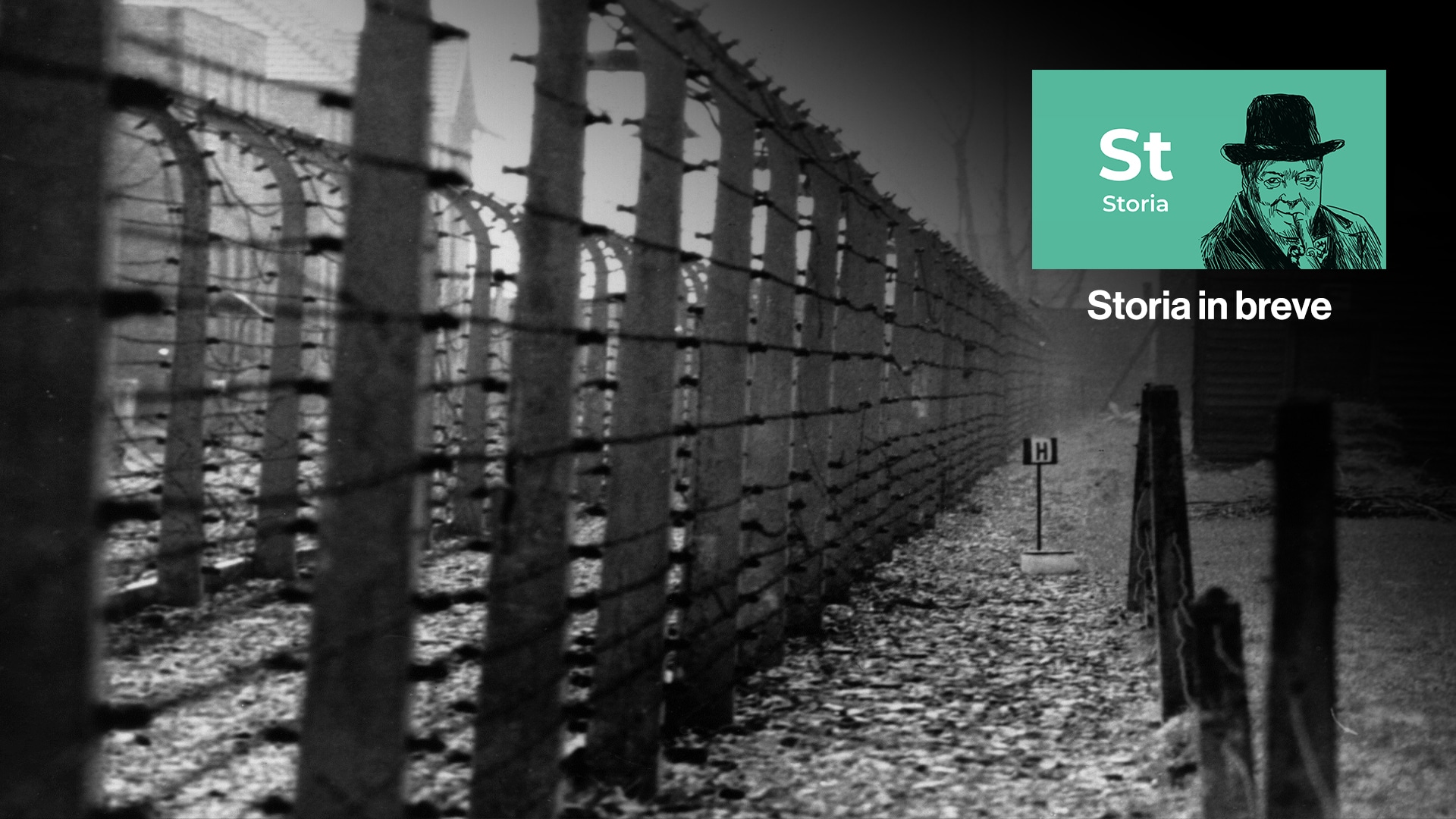 Ritorno ad Auschwitz | Storia | Rai Cultura