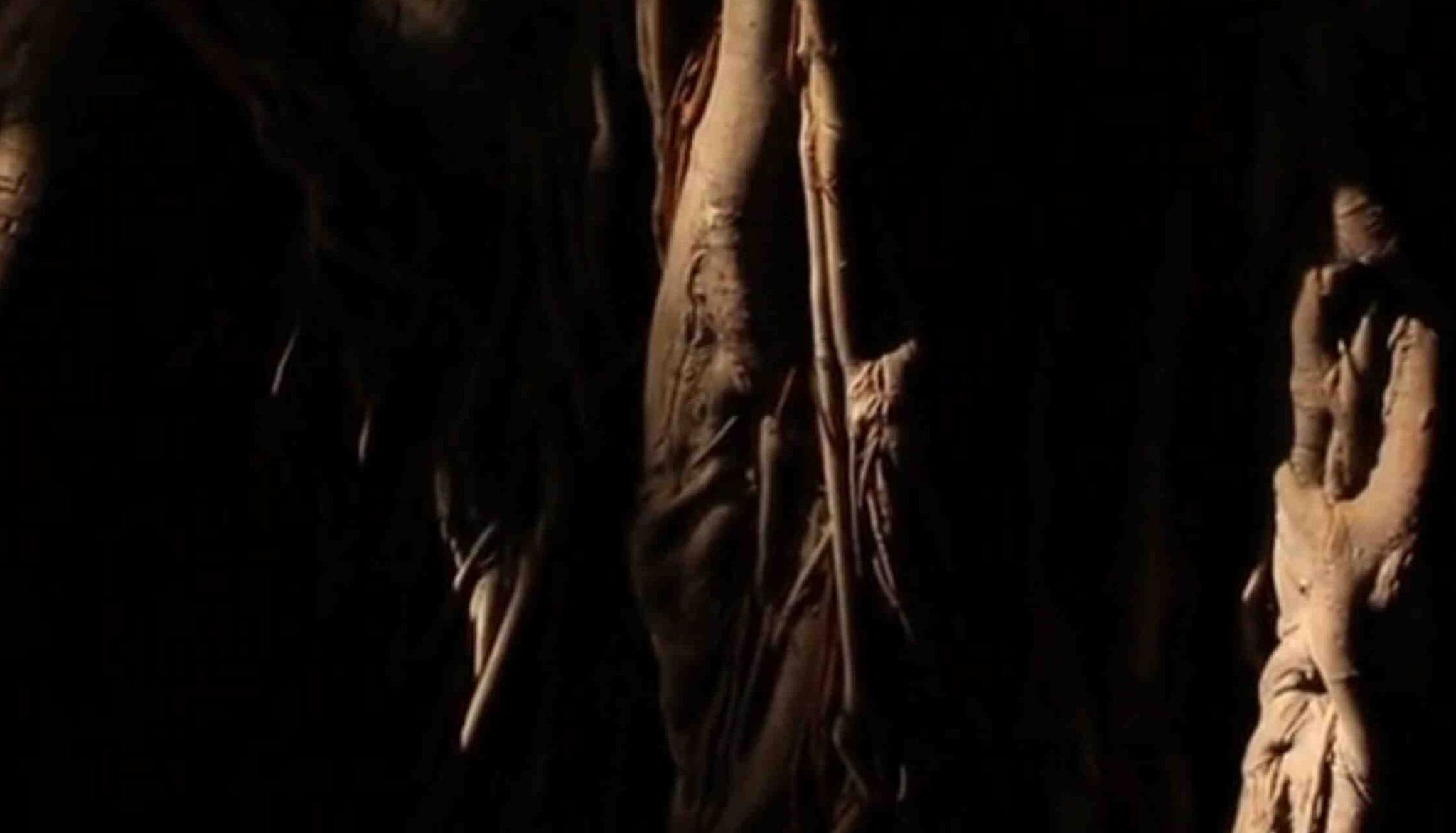 Canto 33 - Memoria | Letteratura | Rai Cultura