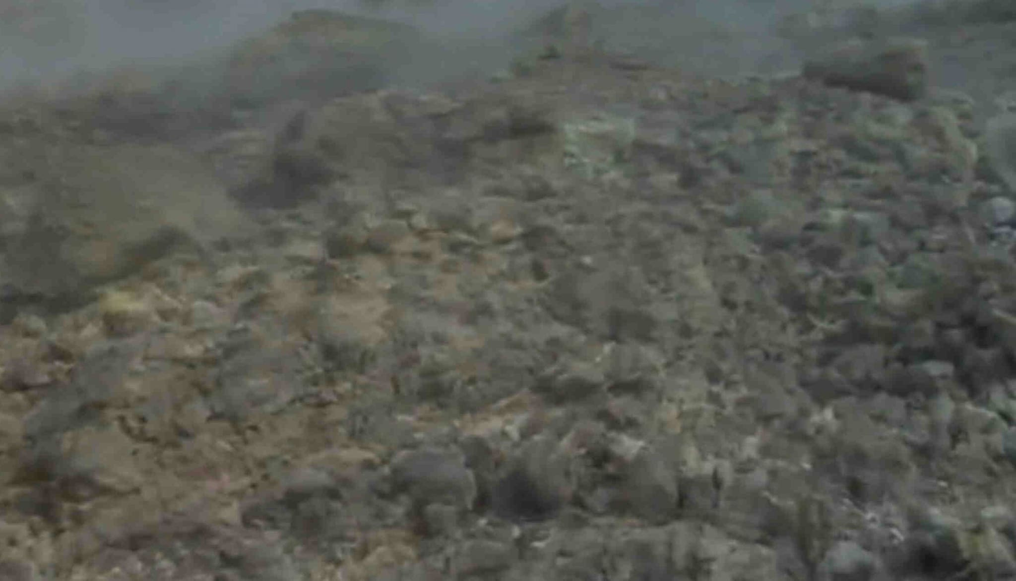 Canto 31 - Magma | Letteratura | Rai Cultura