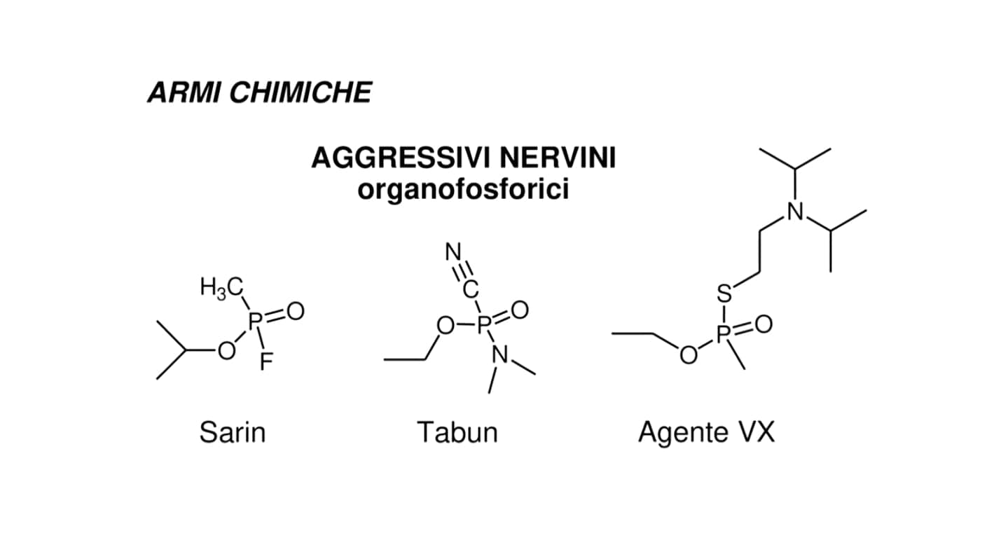 Matteo Guidotti. Aggressivi chimici | Rai Cultura