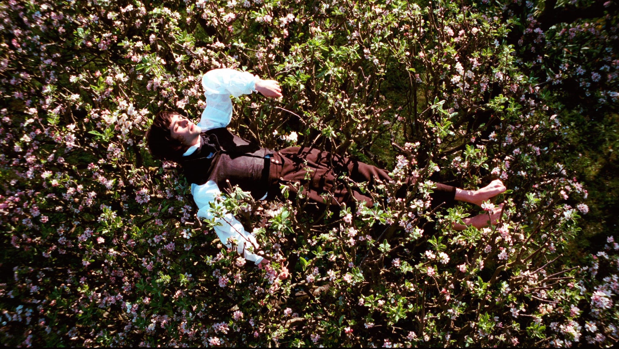 Jane Champion e il suo tenero Keats | Cinema | Rai Cultura