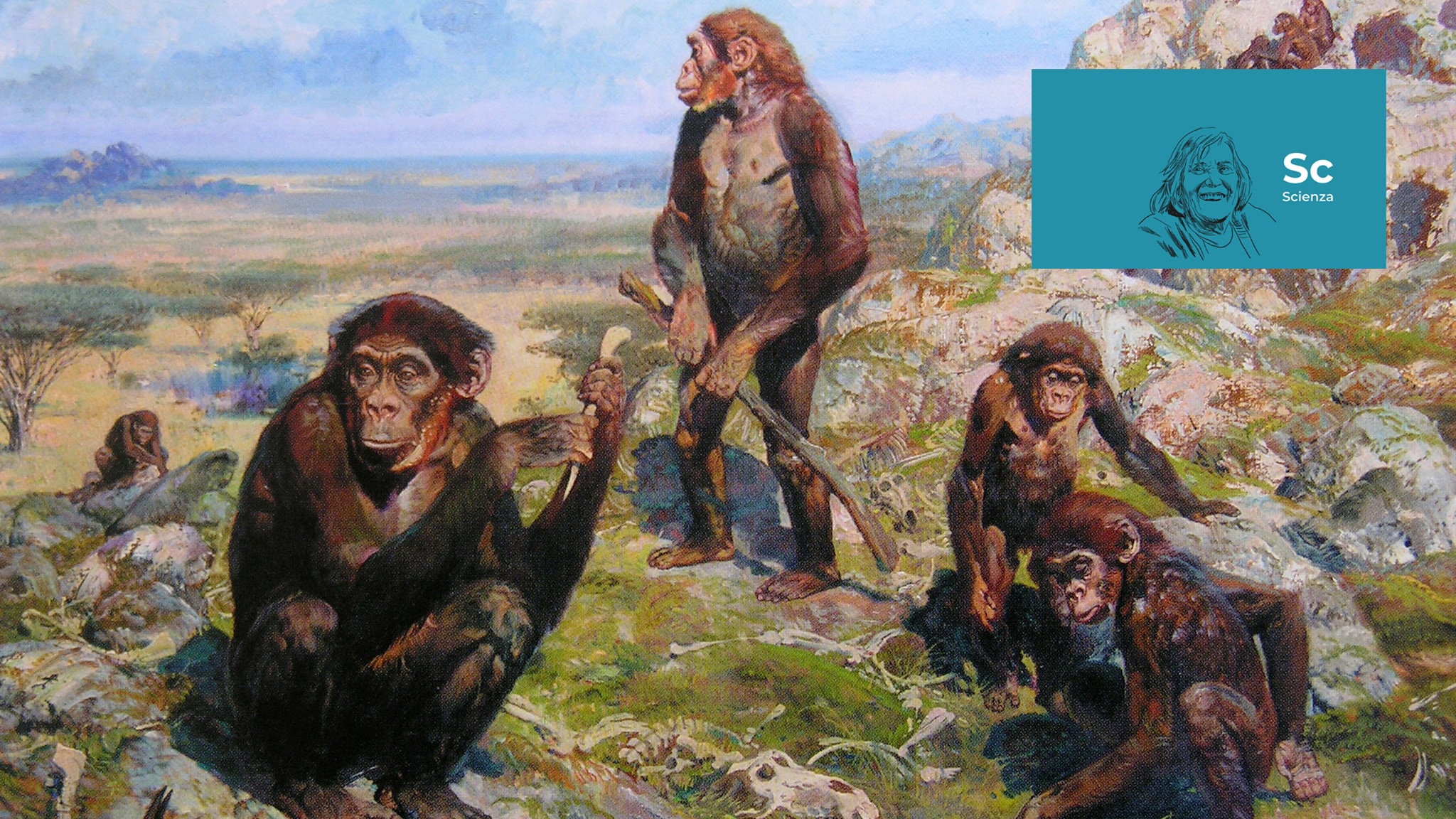 Il cespuglio dei nostri antenati più antichi (pt.3) | Scienza | Rai Cultura