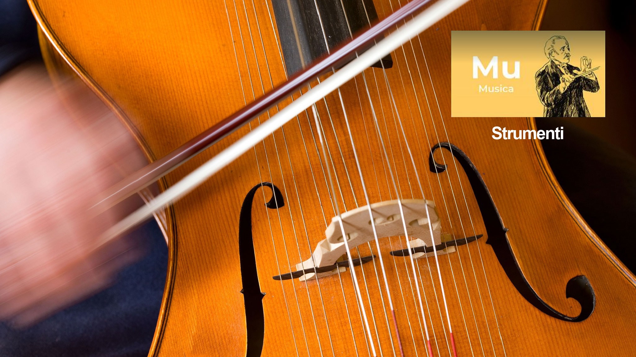Il violoncello | Musica | Rai Cultura