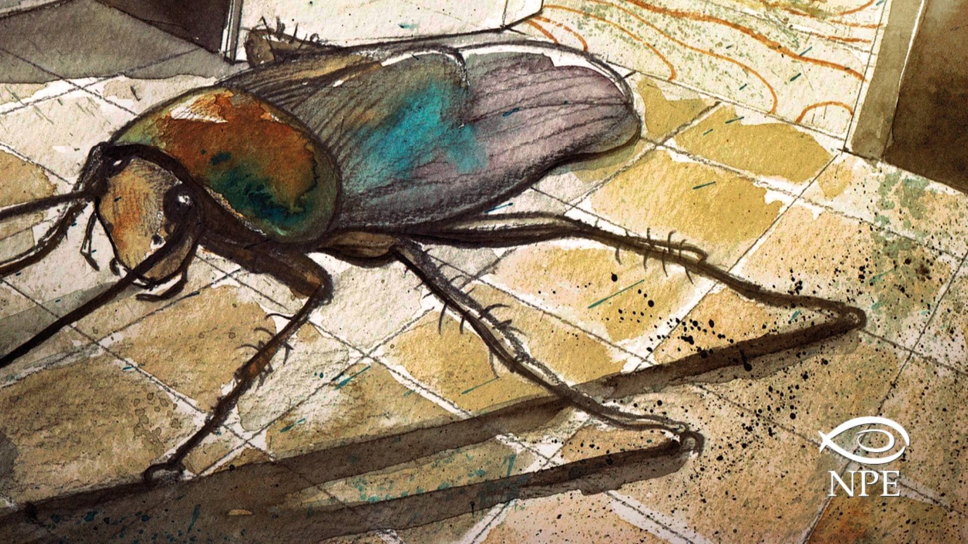 La metamorfosi di Kafka a fumetti | Letteratura | Rai Cultura