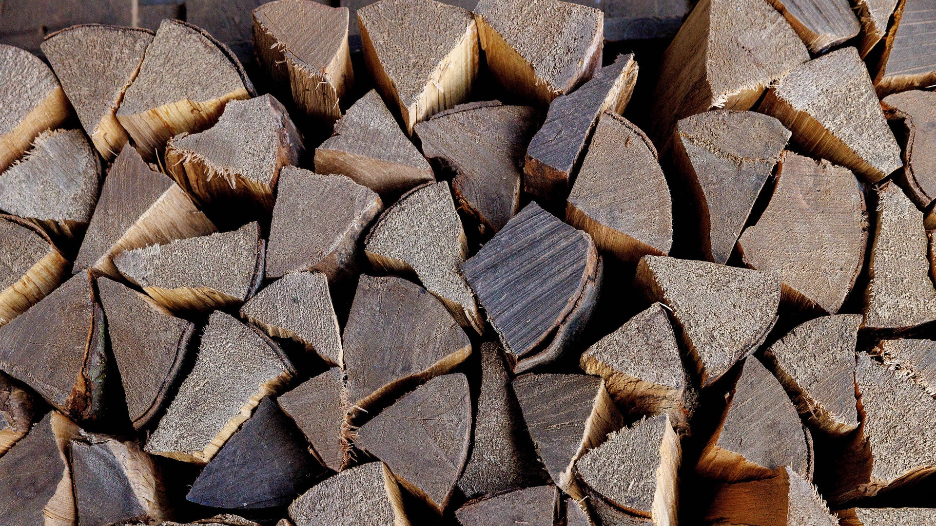 CNR: "Il legno, la materia del futuro" | Scienza | Rai Cultura