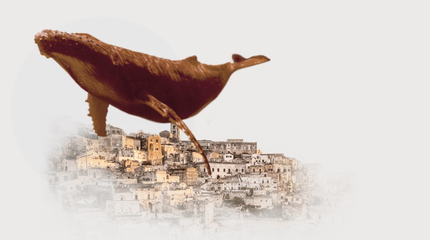 Matera Film Festival - Rai Cultura