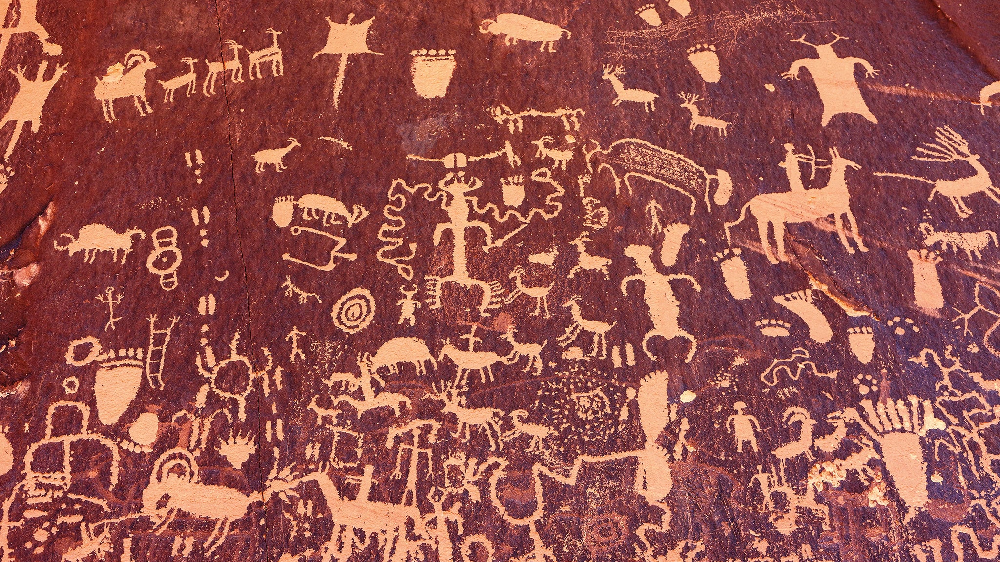 Barbara Stiegler. Bisogna adattarsi | Filosofia | Rai Cultura