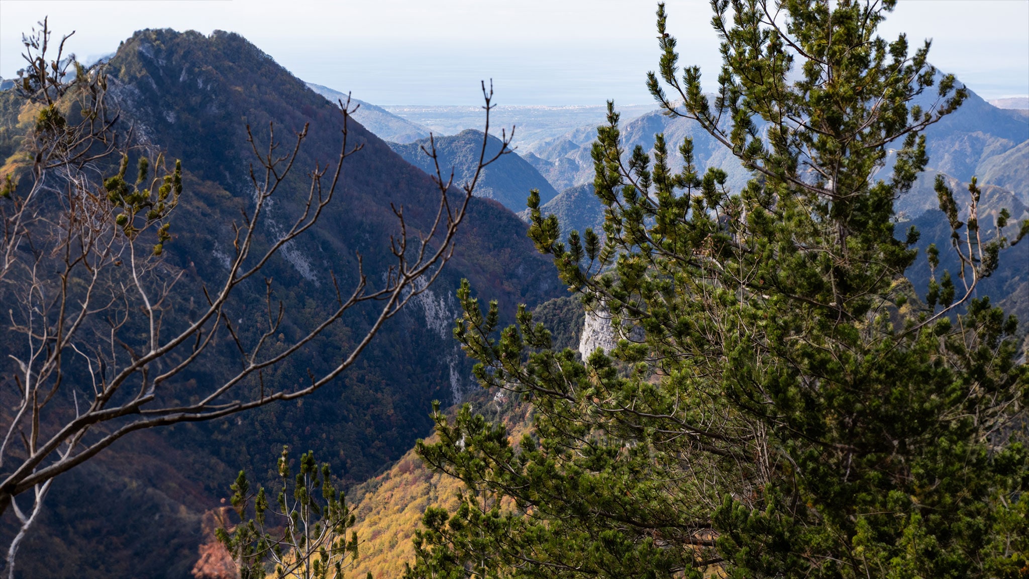 Michele Gerace e Monica Marziota. Crivu | Filosofia | Rai Cultura
